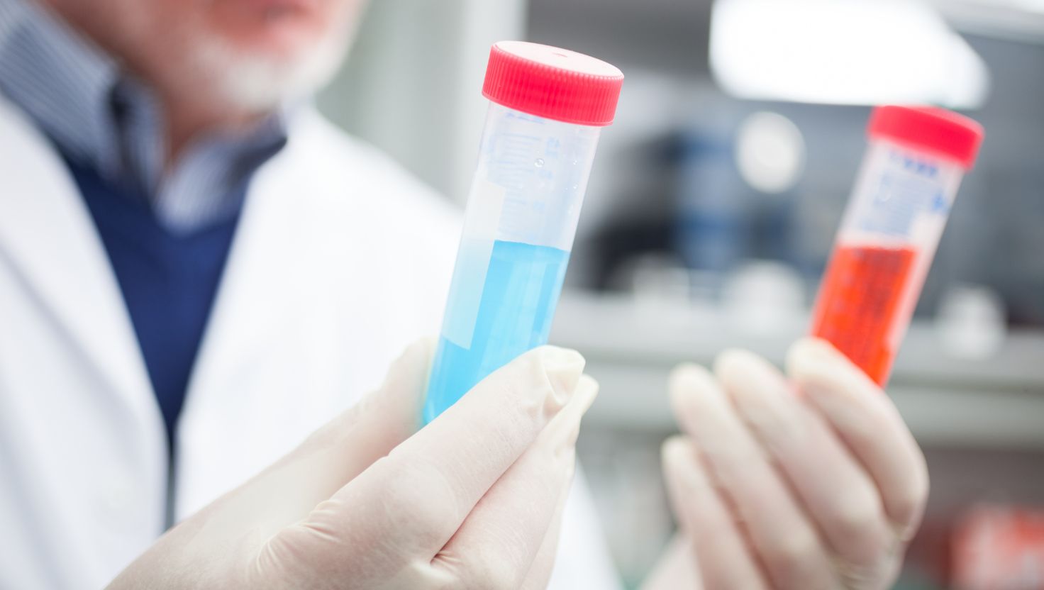 Sangue de Sobrevivente de Cobras Pode Criar Antídoto Universal